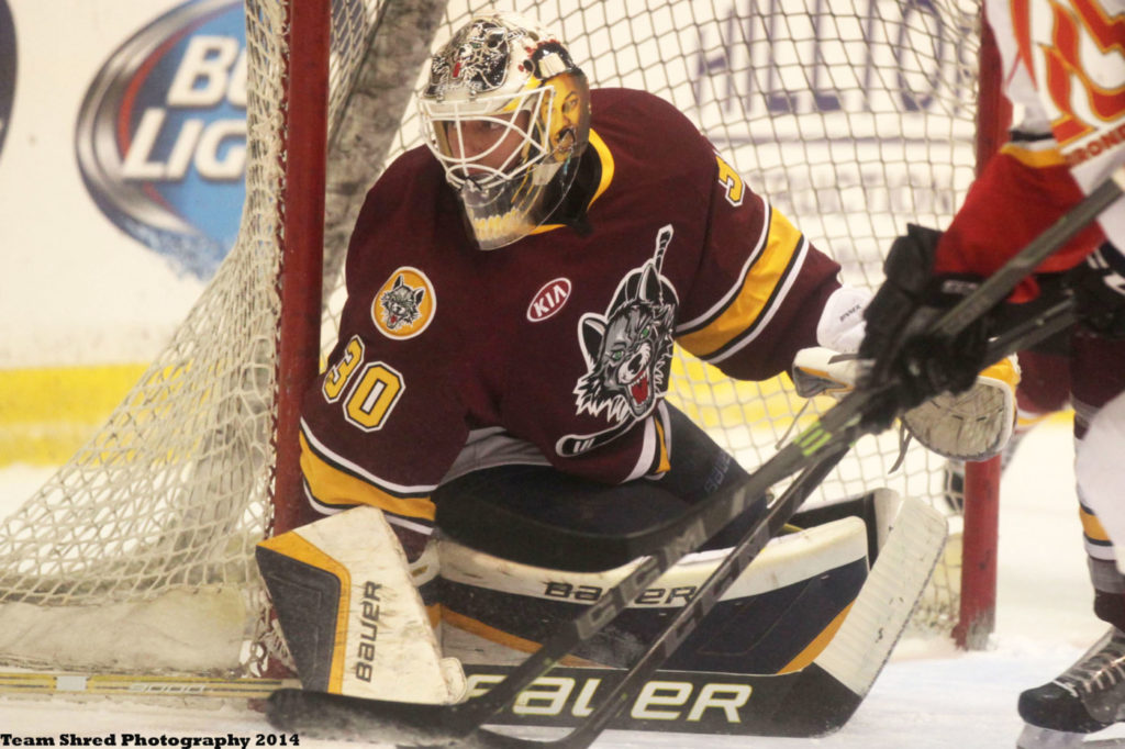Jordan Binnington (50) | CollegeHockeyPlayers