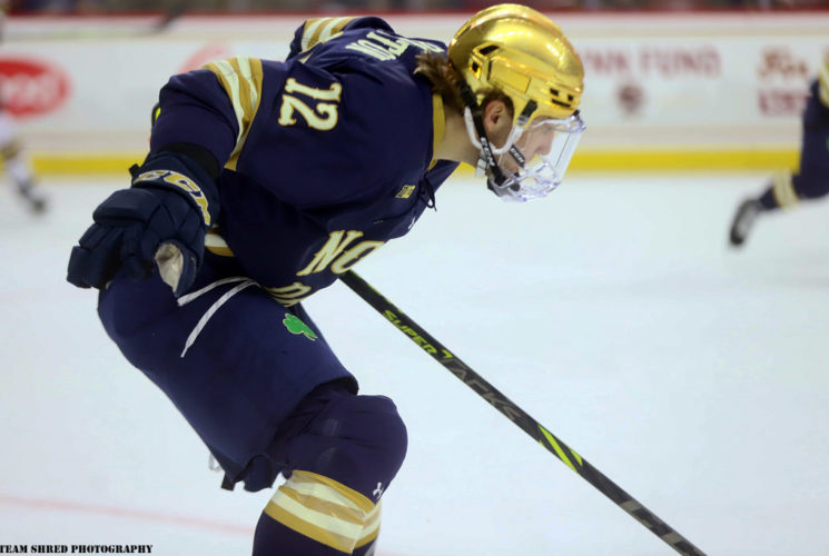 Ryder Rolston (29) | CollegeHockeyPlayers